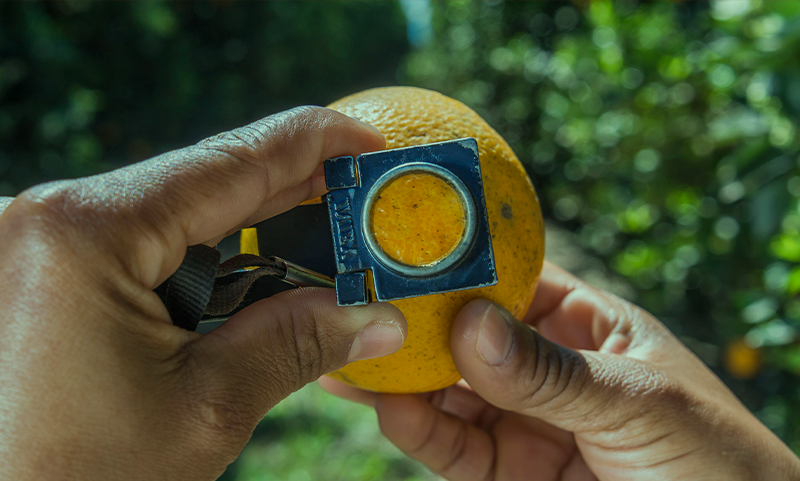 A Citrosuco – Citrosuco